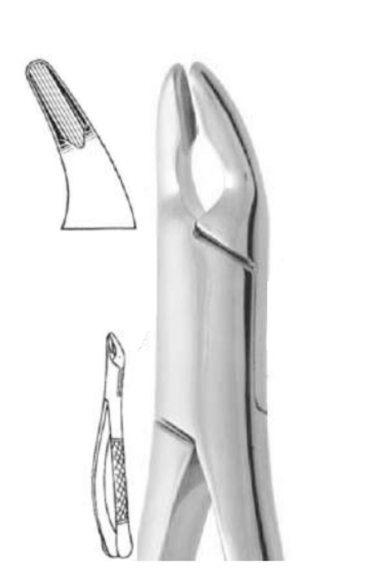 Forcep 150A - Dental Link
